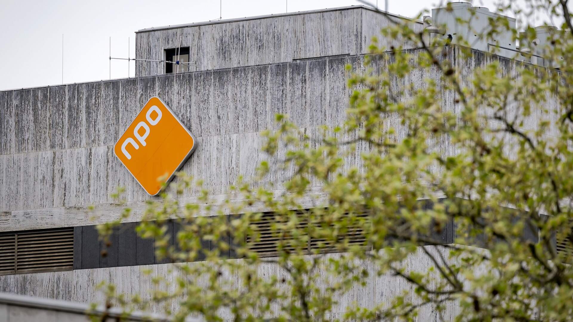 NPO kon nieuw programma Wolven zonder Disney niet betalen | De Telegraaf
