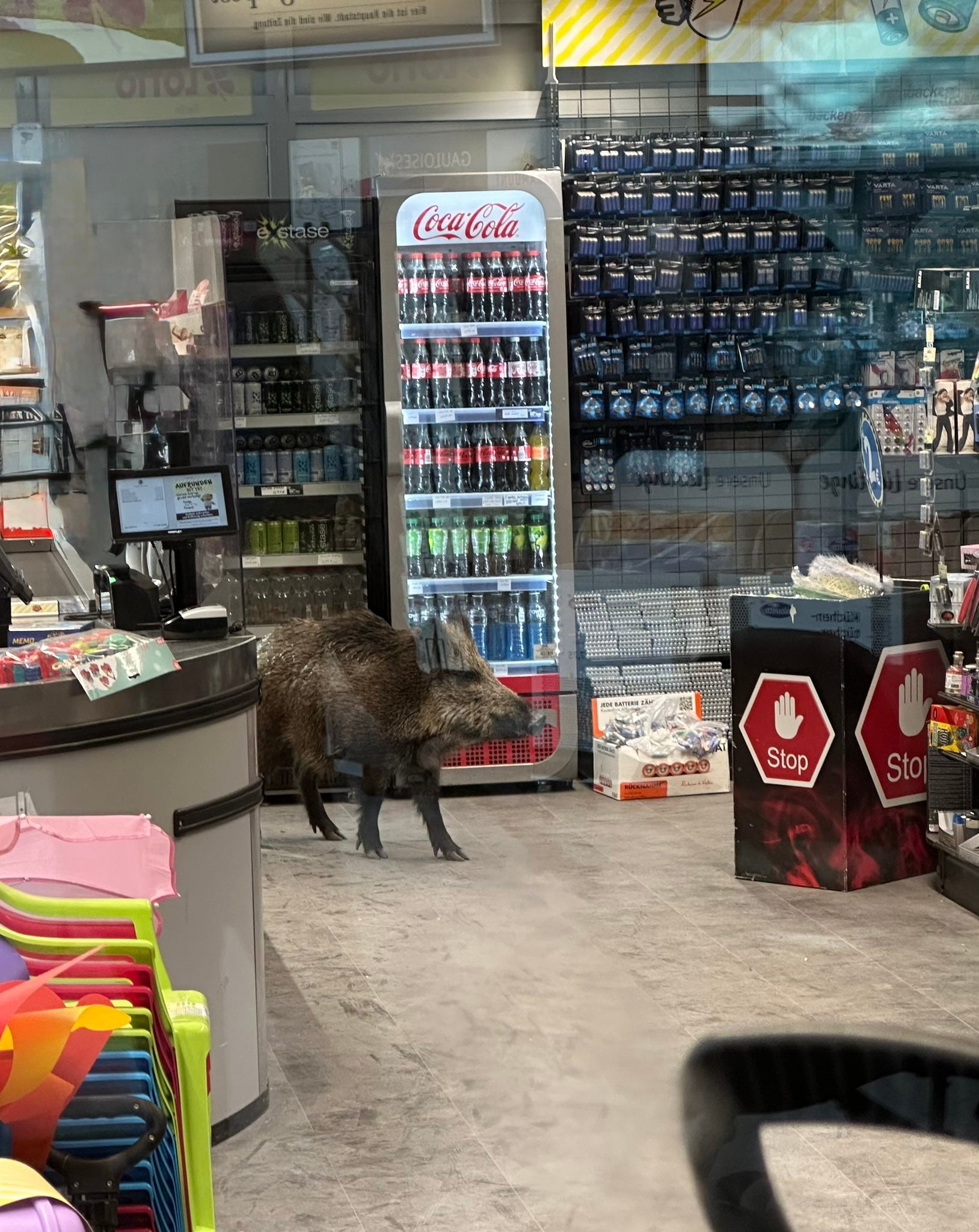 Wild zwijn in Berlijns winkelcentrum: politie deelt beelden | De Telegraaf