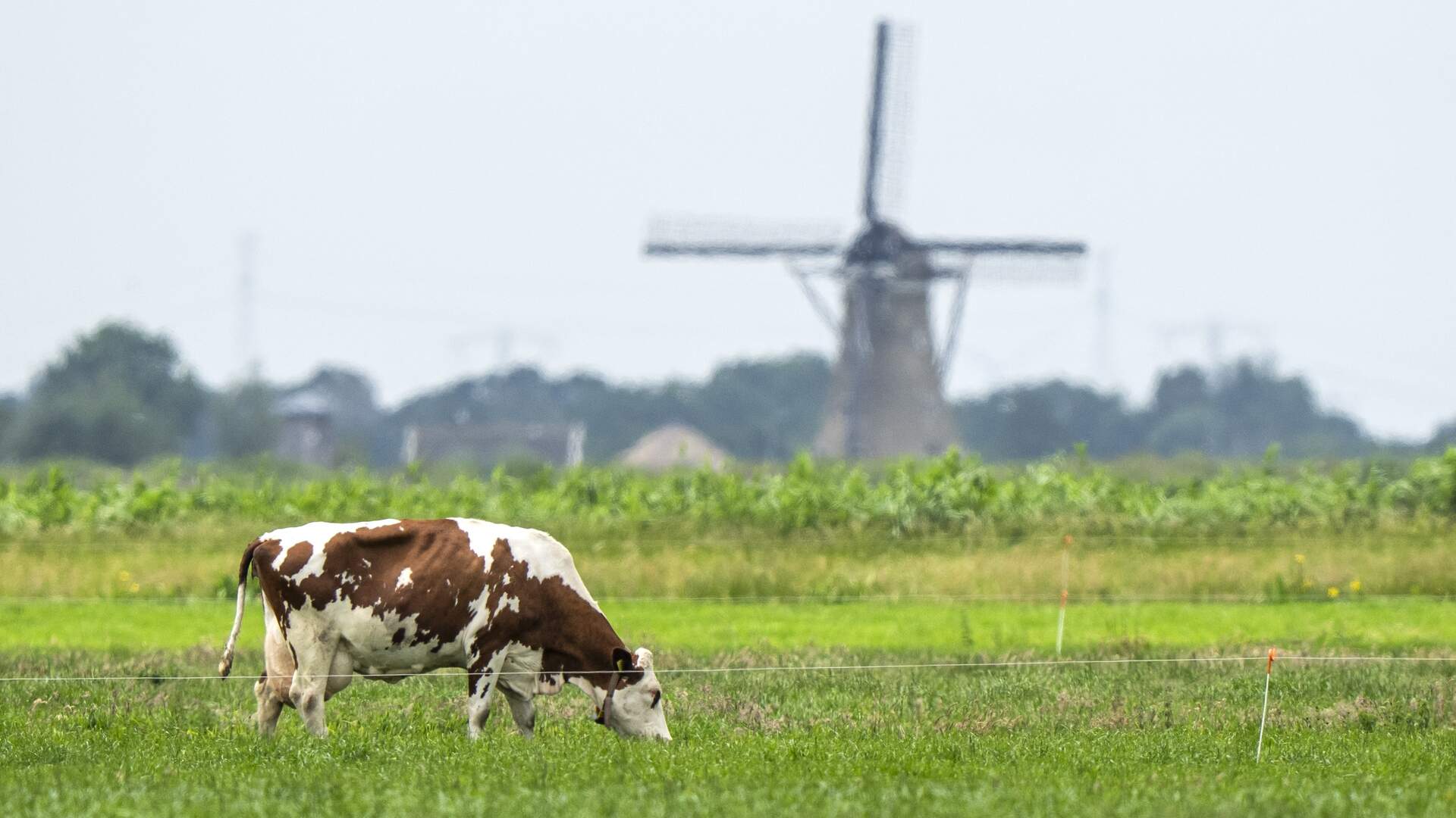 Lezers: ’We weten allemaal dat D66 niet zoveel waarde hecht aan de ...
