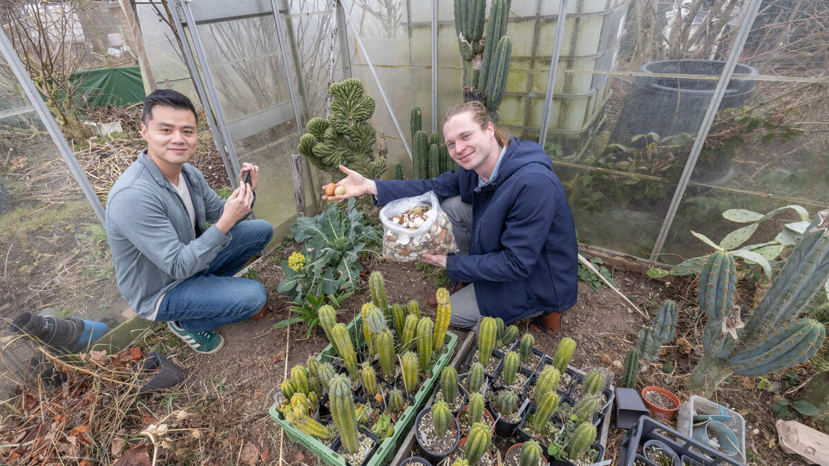 Zelfvoorzienend leven: Jasper (28) deelt zijn moestuin tips | De Telegraaf