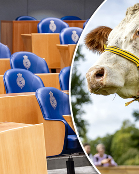 Breed gevoel in Den Haag over stikstof: ‘Dit moet wel eens klaar zijn ...